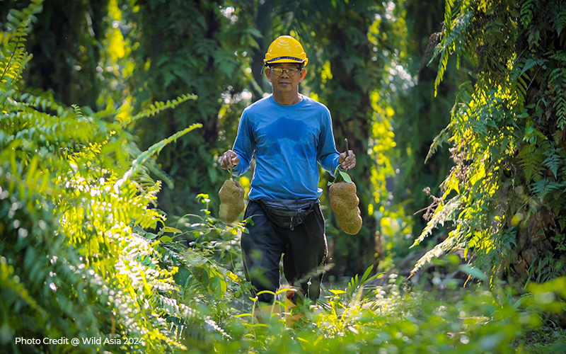 A Smallholder's Sustainable Farming Chronicle: From Certification to ...