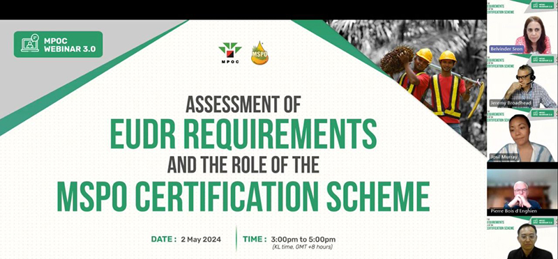 Experts Confirm MSPO Complies With EUDR