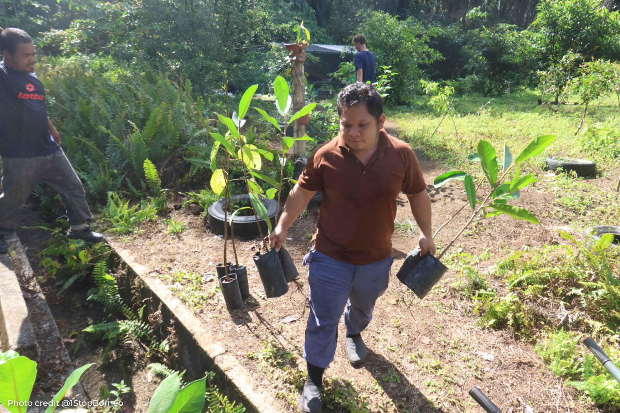 Preserving Nature by Connecting Forest Habitats: Wildlife Corridor in ...