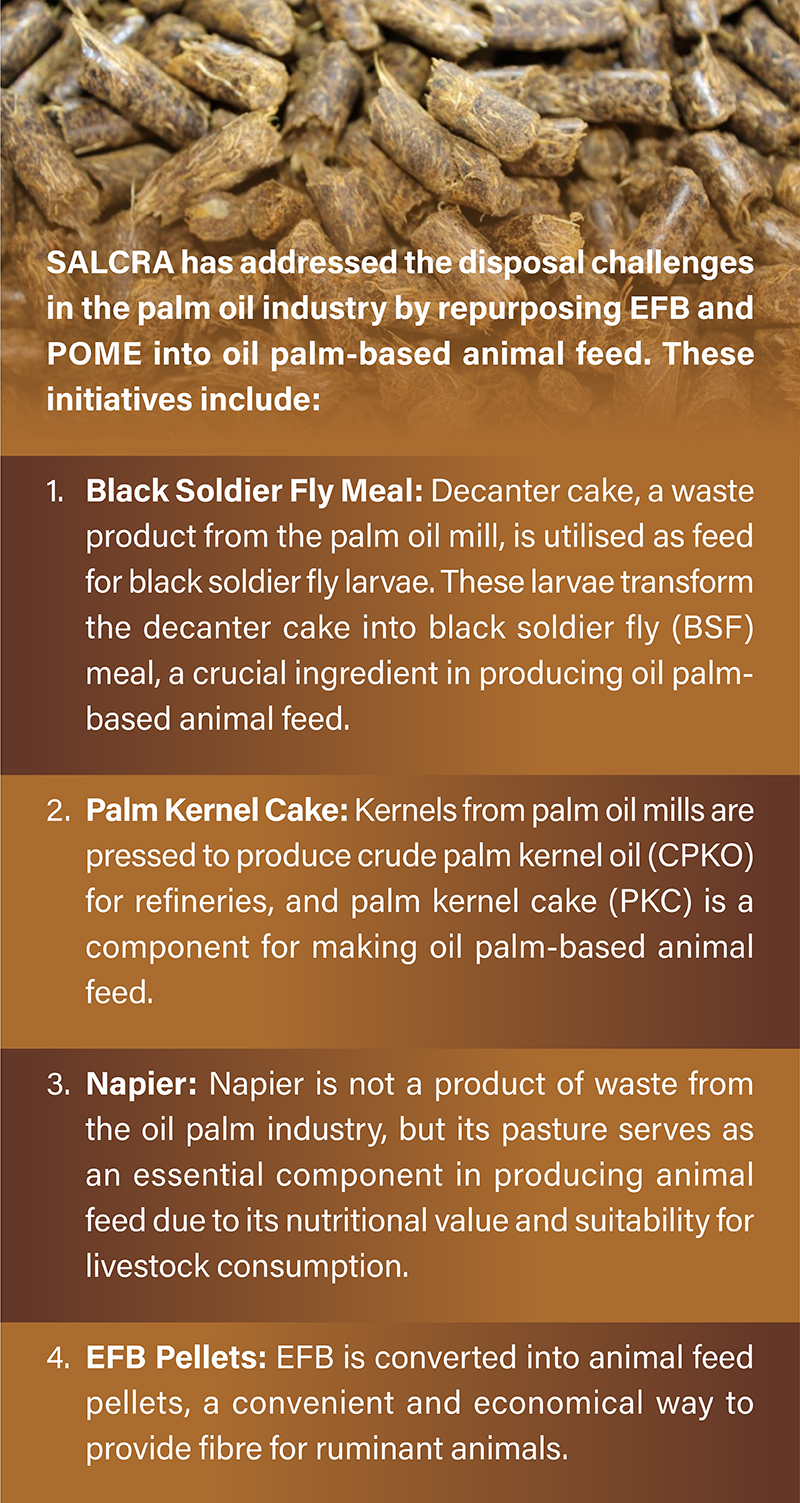 SALCRA, a Prime Mover in Agro-Commodity Circular Economy