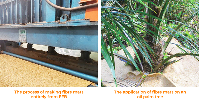 SALCRA, a Prime Mover in Agro-Commodity Circular Economy