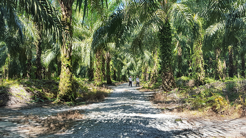 SALCRA, a Prime Mover in Agro-Commodity Circular Economy