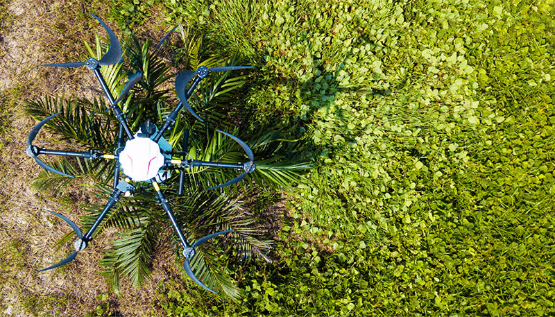 SD Guthrie: Pioneering the Future of Agriculture with AI and Robotics