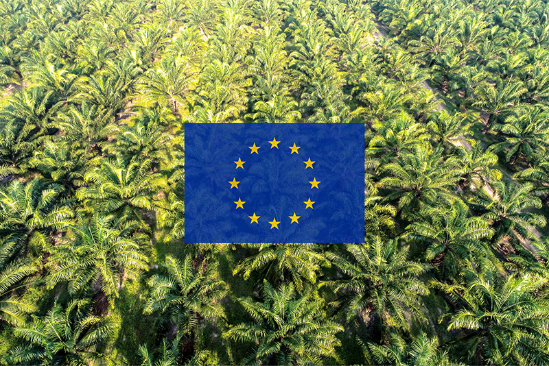 EU to Decide on Malaysia’s Classification in the EUDR Country ...
