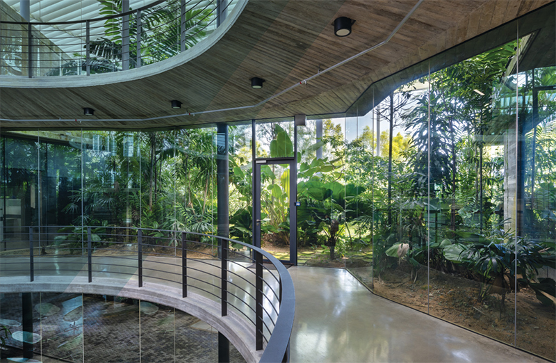 Paramit: Maximising Contact with Nature While at Work