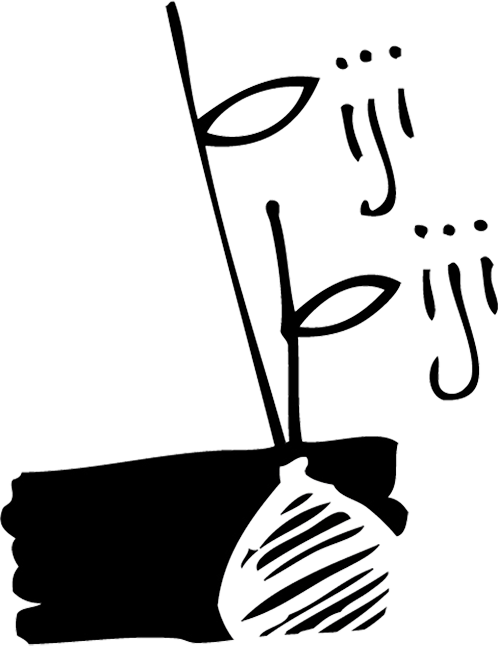 Biji-biji Initiative: Empowering a Sustainable Living Society